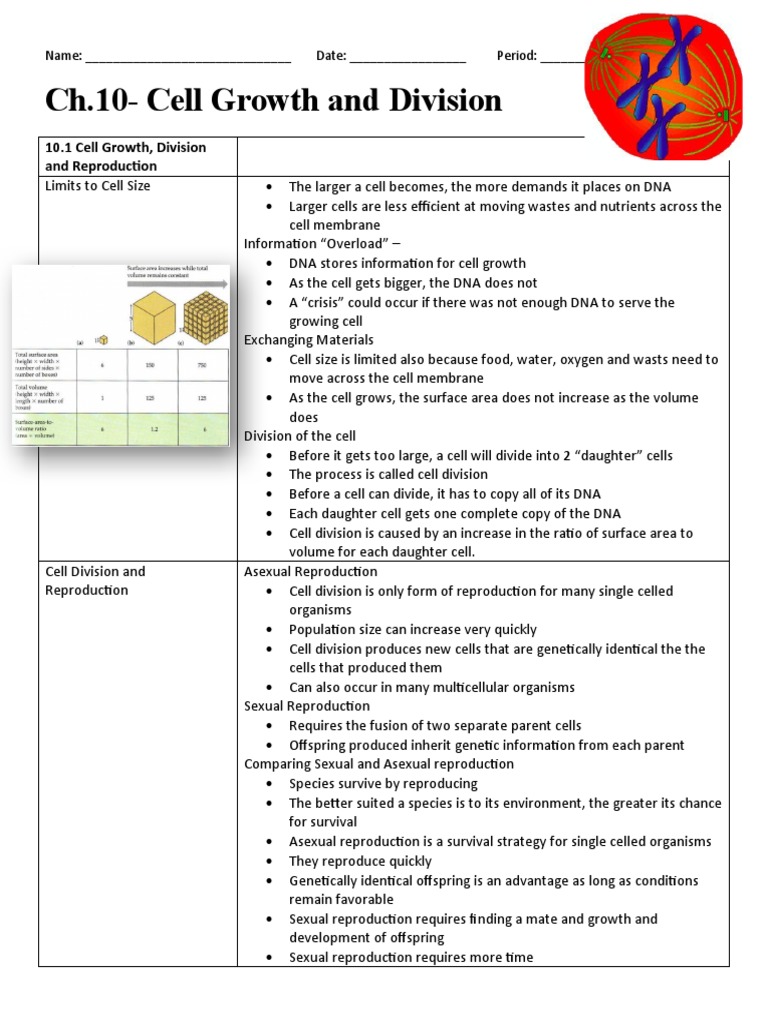 10.1 Cell Growth, Division and Reproduction | PDF | Mitosis | Chromosome