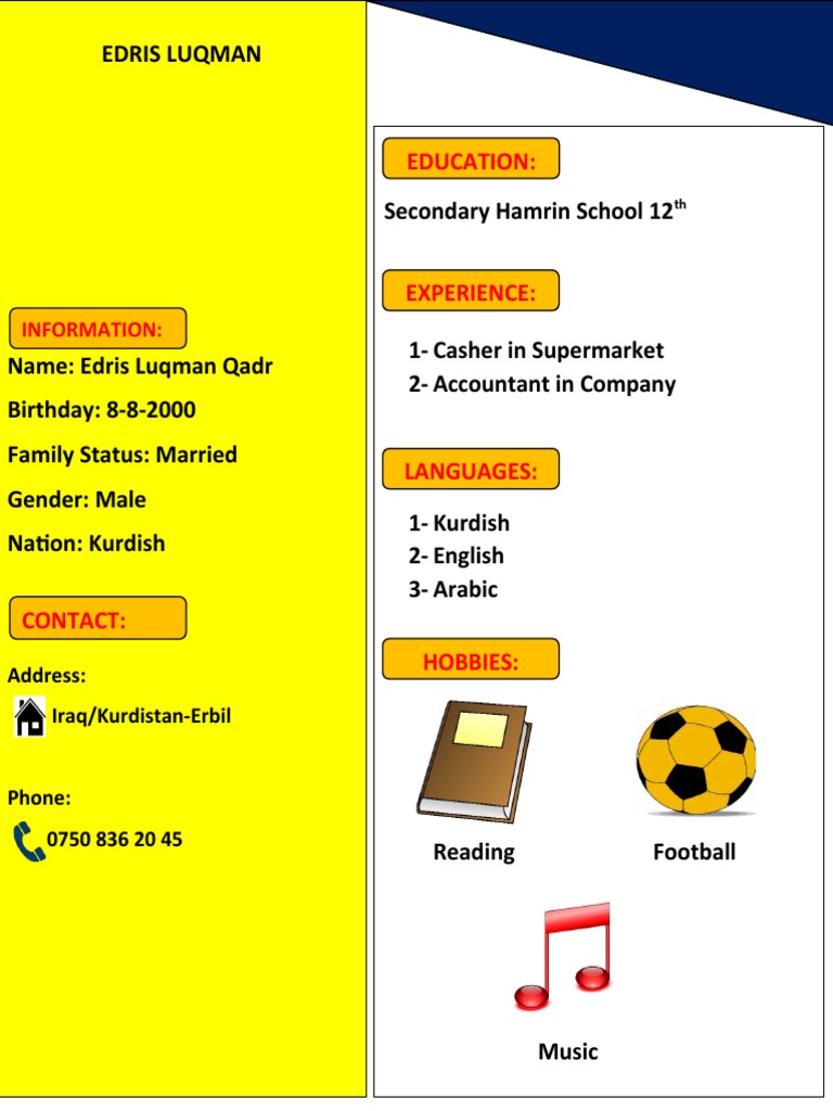 Edris Luqman: Kurdish Resume Overview | PDF