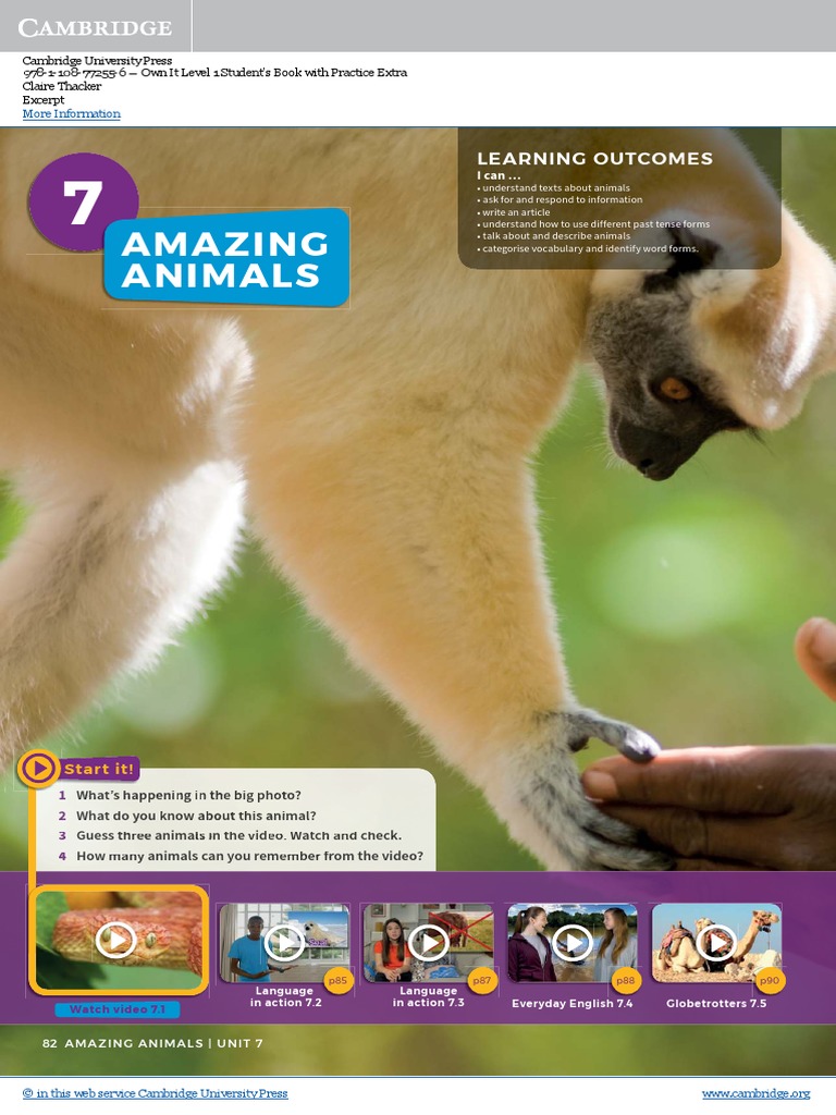 Amazing Animals: Learning Outcomes | PDF | Elephant | Organisms