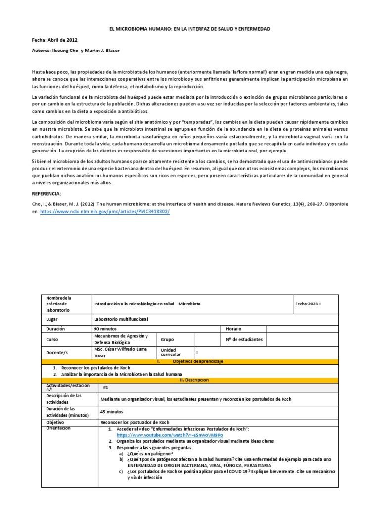 S1 - Guia de Practica 01 - MADB | PDF | Especialidades Medicas ...