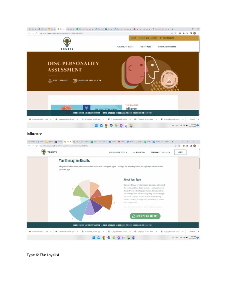 DISC | PDF | Politics