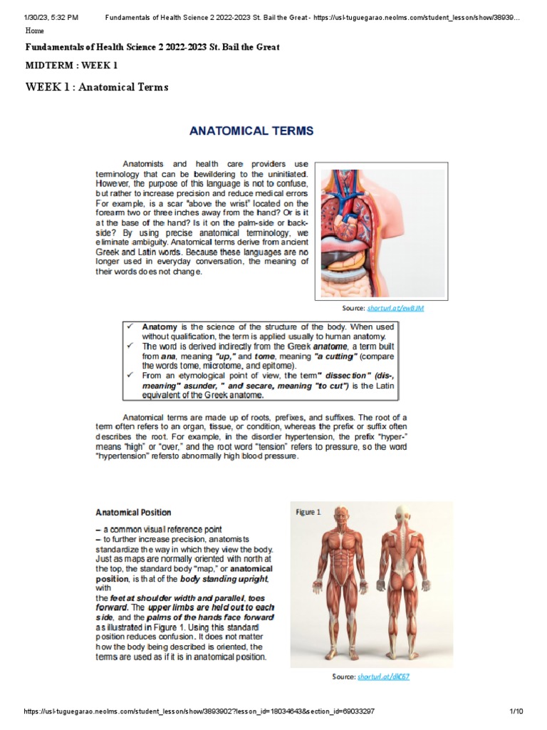 WEEK 1: Anatomical Terms | PDF