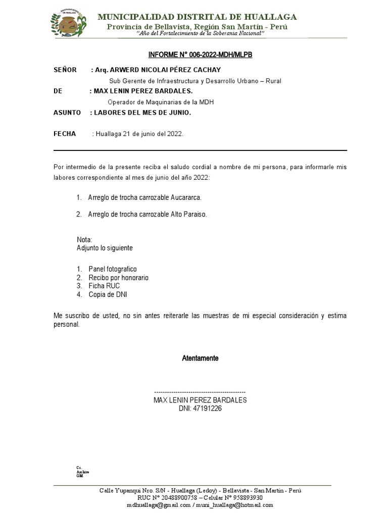 Informe-Mes Junio-Max | PDF