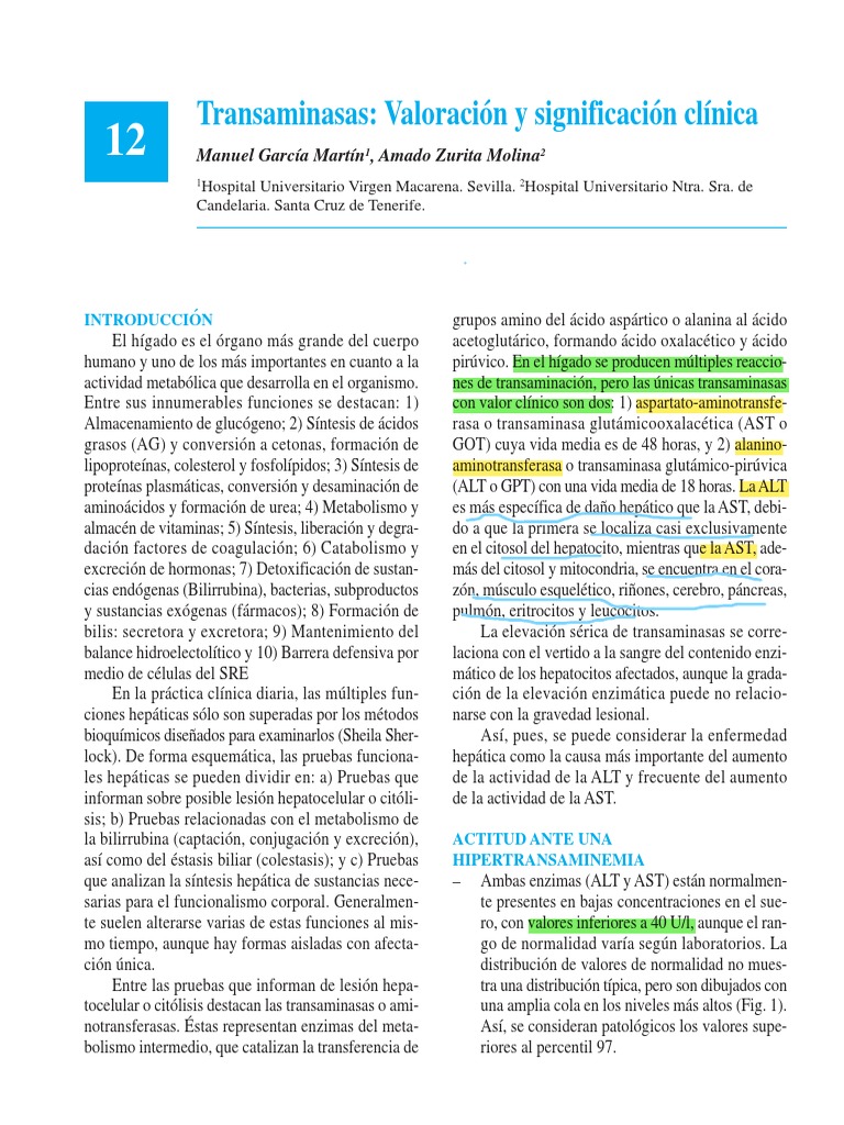 Transaminasas | PDF | Transaminasa | Hepatitis