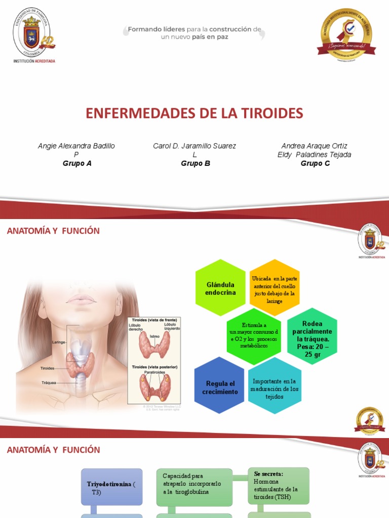 TIROIDES ACTUALIZADO | PDF | Tiroides | Gota