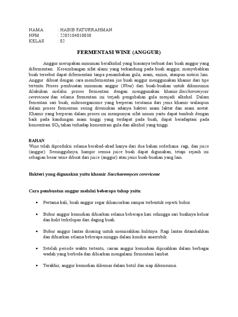 Proses Fermentasi Anggur | PDF