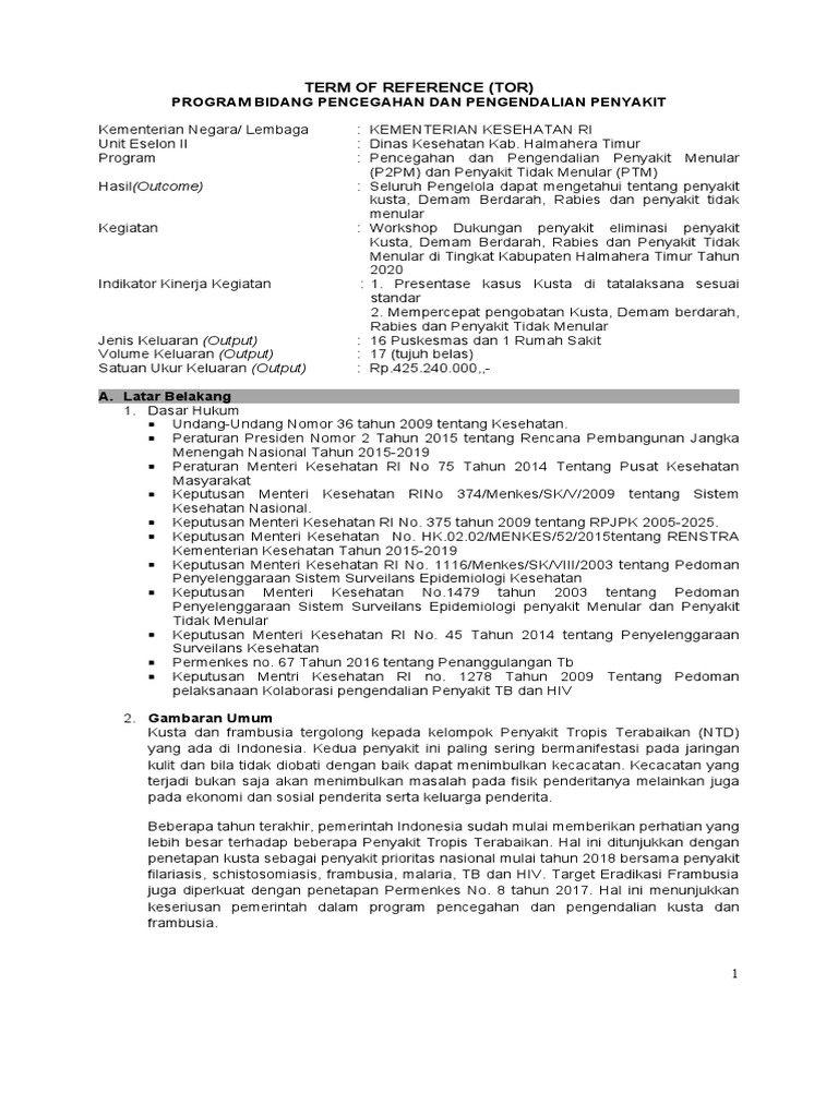 Tor Workshop Kusta, DBD, Rabies&ptm | PDF