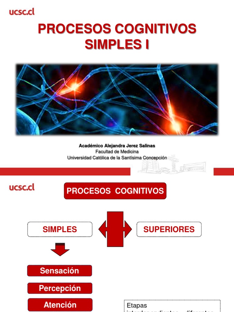 Procesos Cognitivos Simples I: Facultad de Medicina Universidad Católica de La Santísima ...