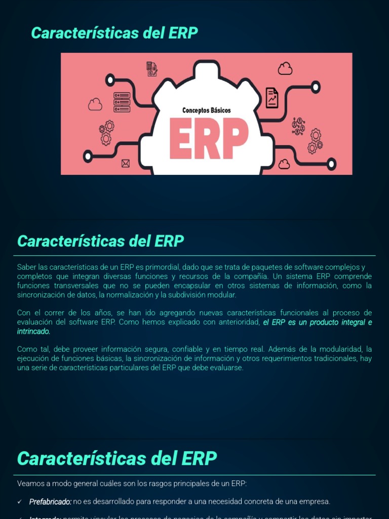 2 - Erp | PDF | Planificación de recursos empresariales | Computación ...