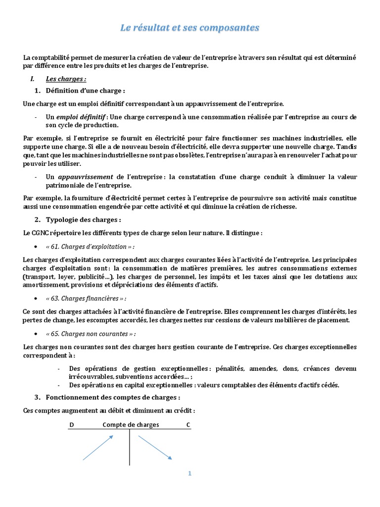 Résultat Net d'Exploitation et Charges | PDF | Business | Comptabilité