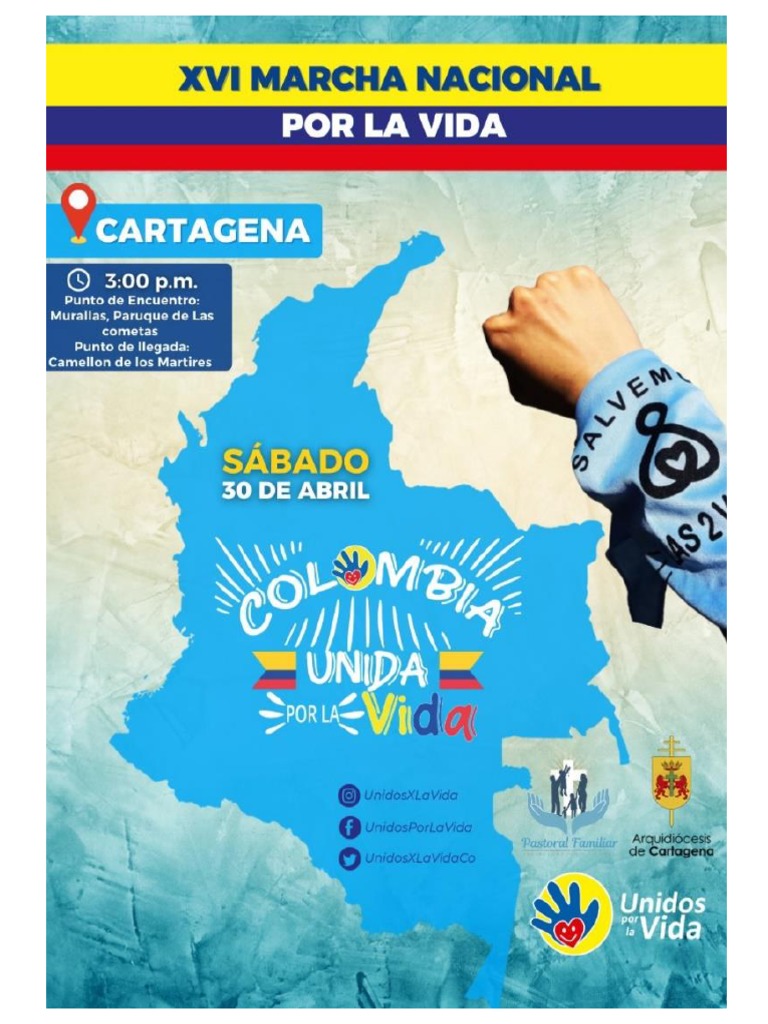 Canciones Marcha Provida Ok | PDF