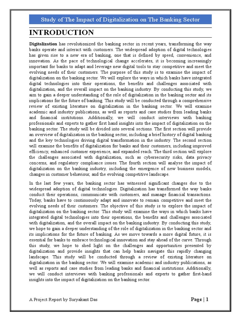 Digital Banking Project - Bubuna | PDF | Private Sector | Economies