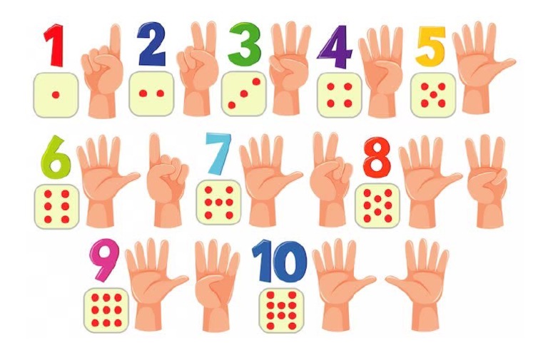 Numeros Con Los Dedos | PDF