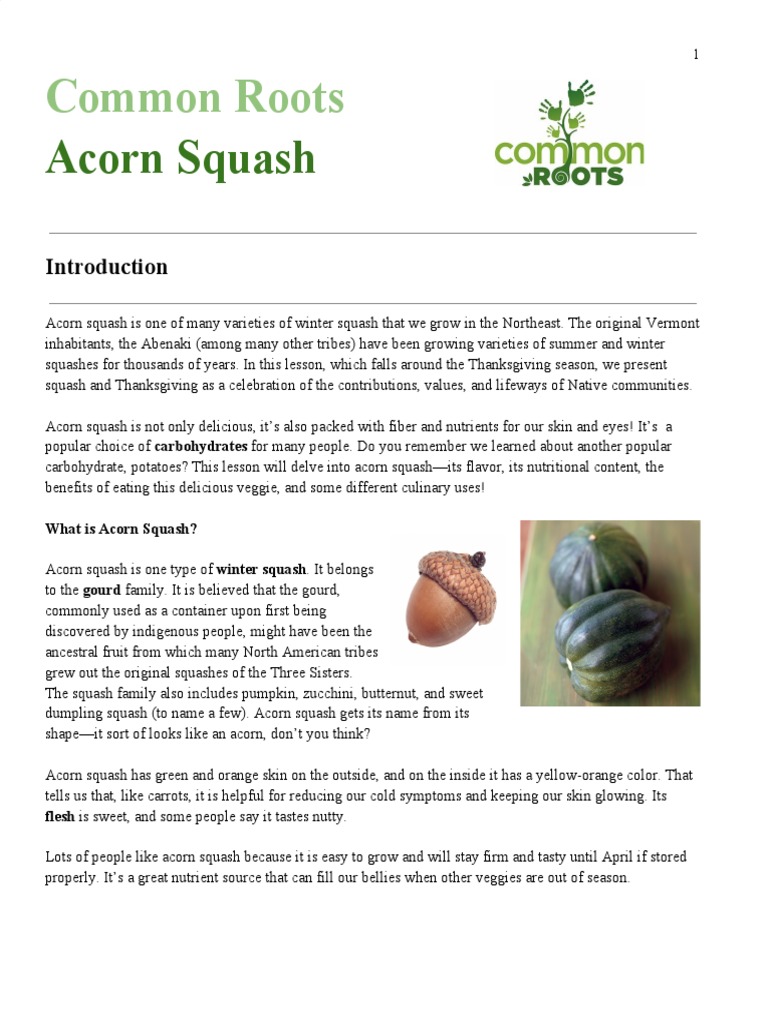 Acorn Squash | PDF | Cucurbita | Vitamin