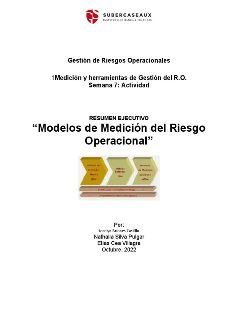 Modelos de Medición Del Riesgo Operacional | PDF | Bancos | Basilea Ii