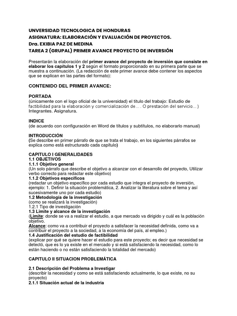 Primer Avance del Proyecto de Inversión | PDF | Producto (Negocio ...