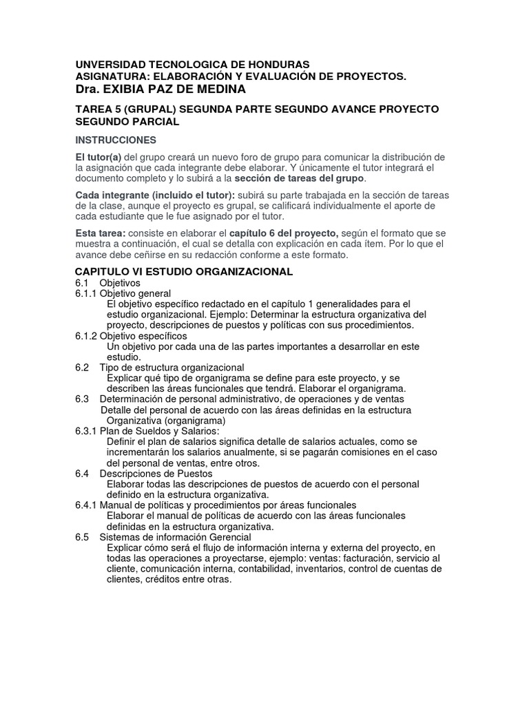 Tarea 5 Grupal Segunda Parte Del Segundo Avance Del Proyecto | PDF | Informática | Business