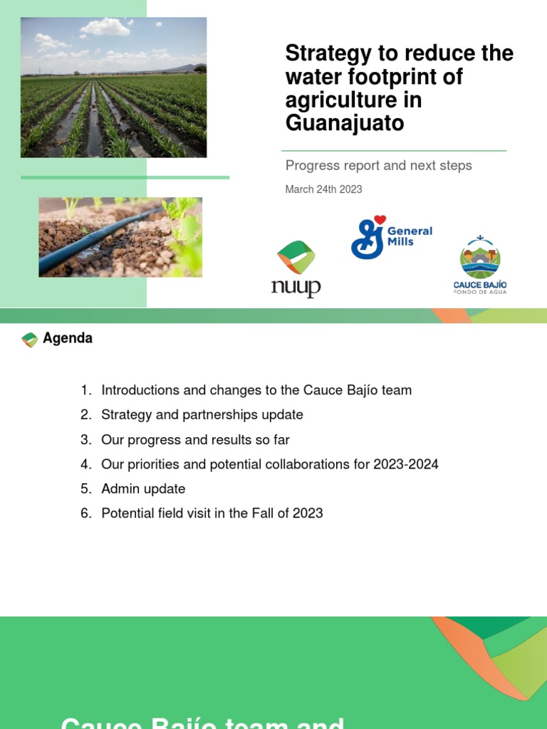 Strategy to Reduce the Water Footprint of Agriculture in Guanajuato ...