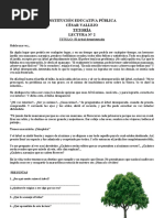 El Árbol Que Escuchaba | PDF