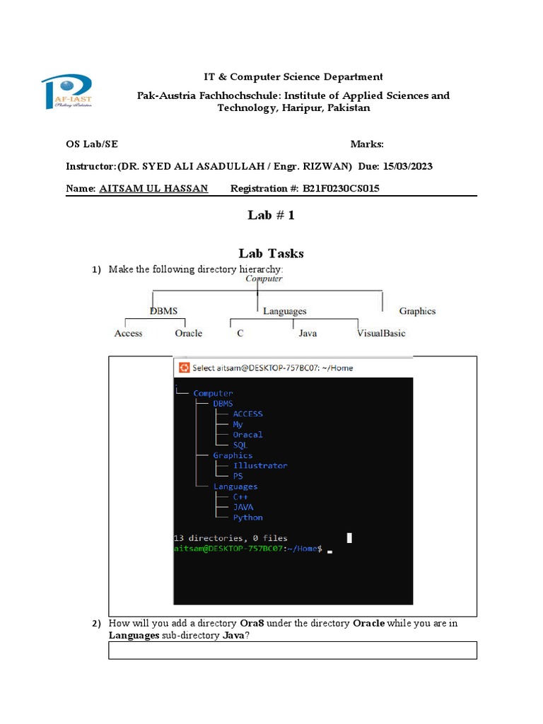 Solution Lab Task 2 | PDF | Art