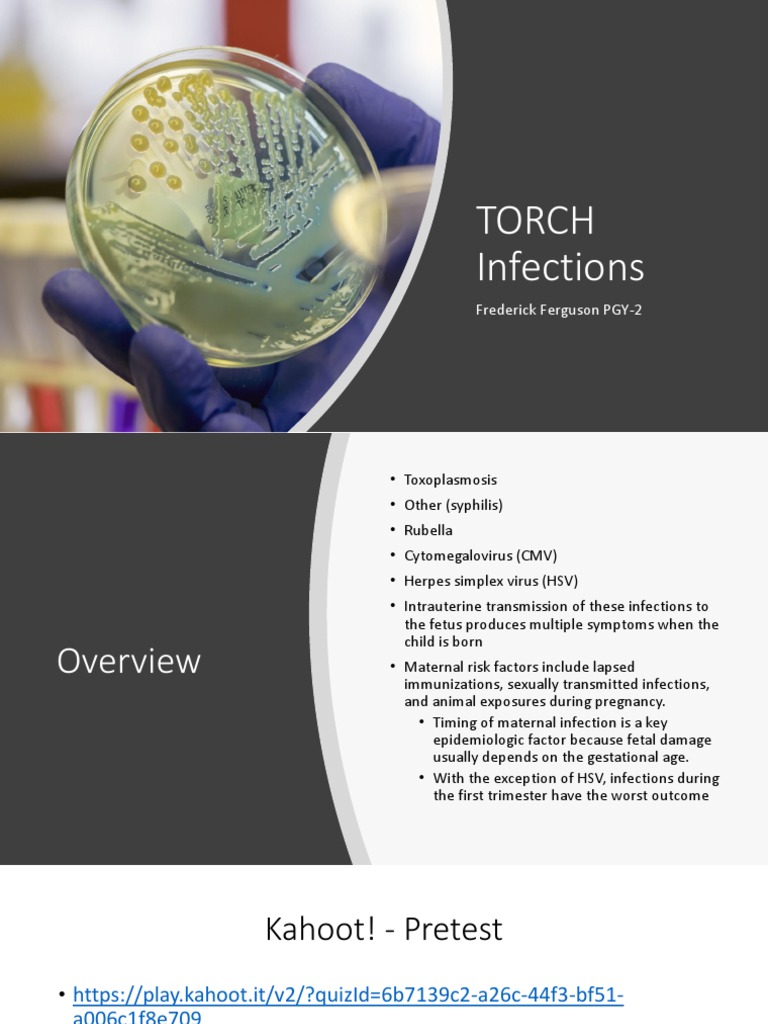 TORCH Infection - Ferguson | PDF | Herpes Simplex | Maternal Health