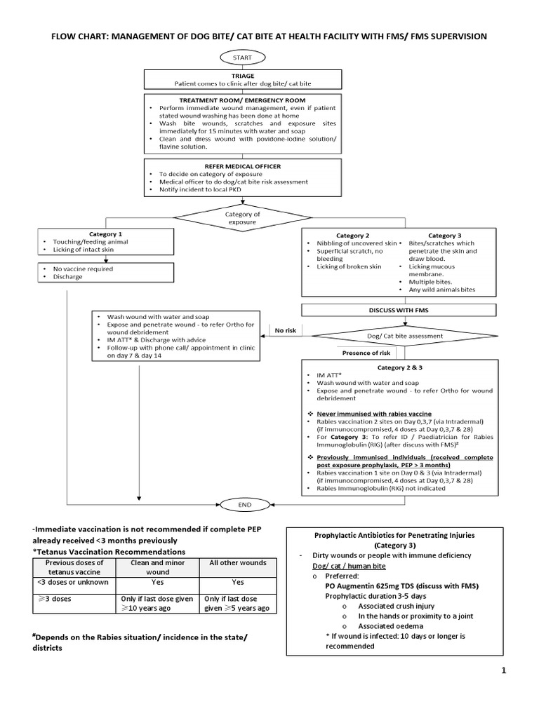Flow Chart Management of Dog or Cat Bite 17.1.23 (V4) | PDF | Rabies ...
