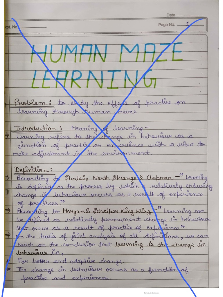 Human Maze Learning - 221028 - 172549 | PDF