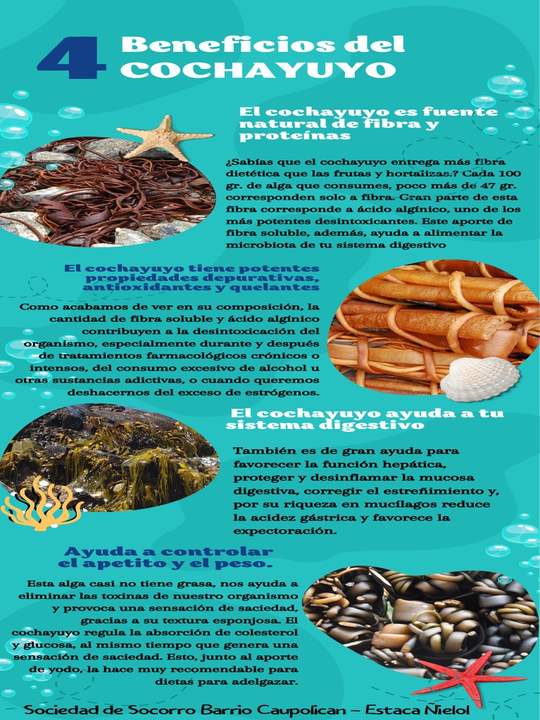 Beneficios Del Cochayuyo | PDF