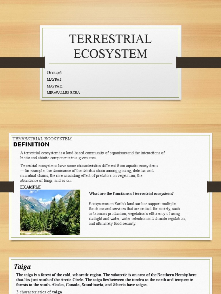 TERRESTRIAL | PDF | Ecosystem | Forests