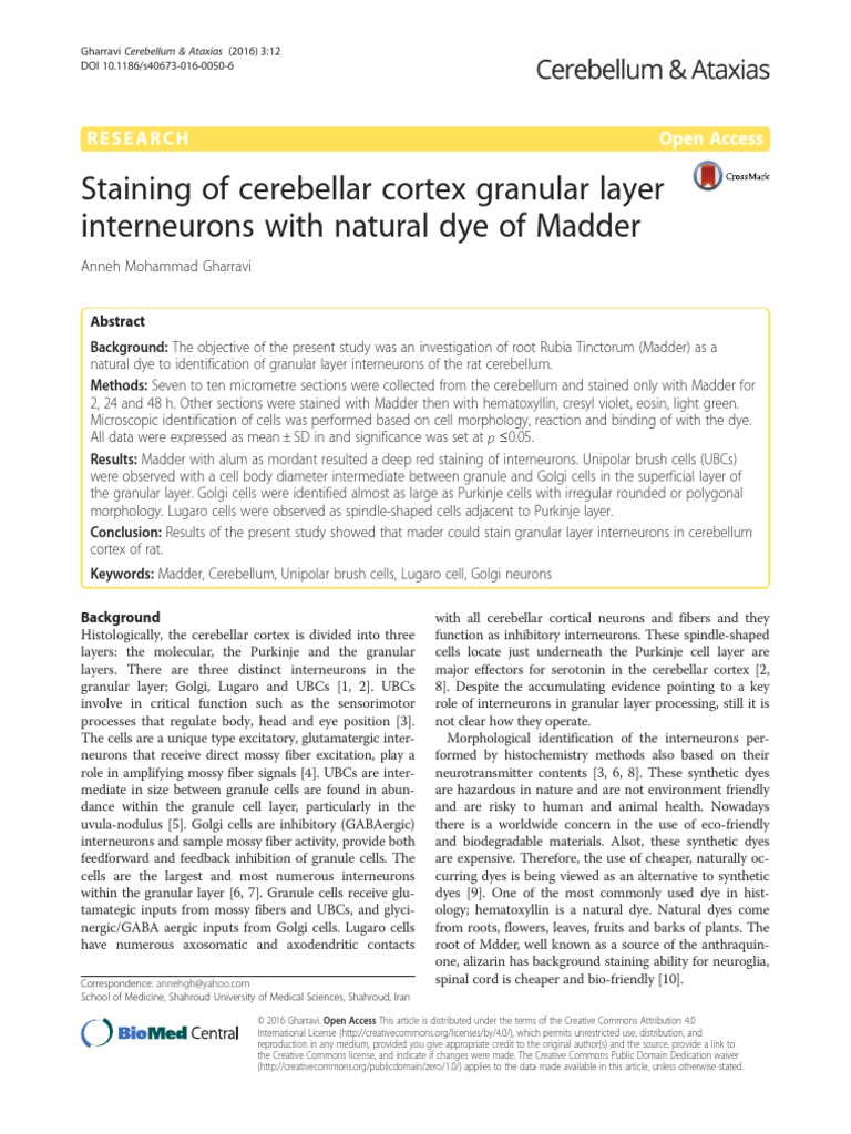 Staining of Cerebellar Cortex Granular Layer Interneurons With Natural Dye of Madder | PDF ...