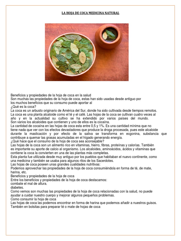 Beneficios de la Hoja de Coca | PDF | Cocaína | Té