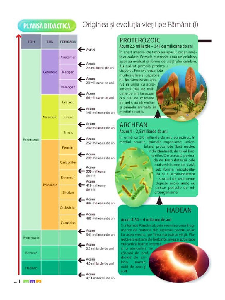 Erele Geologice | PDF