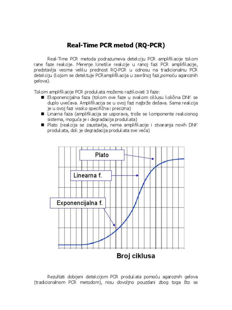 Real Time PCR-Tekst | PDF