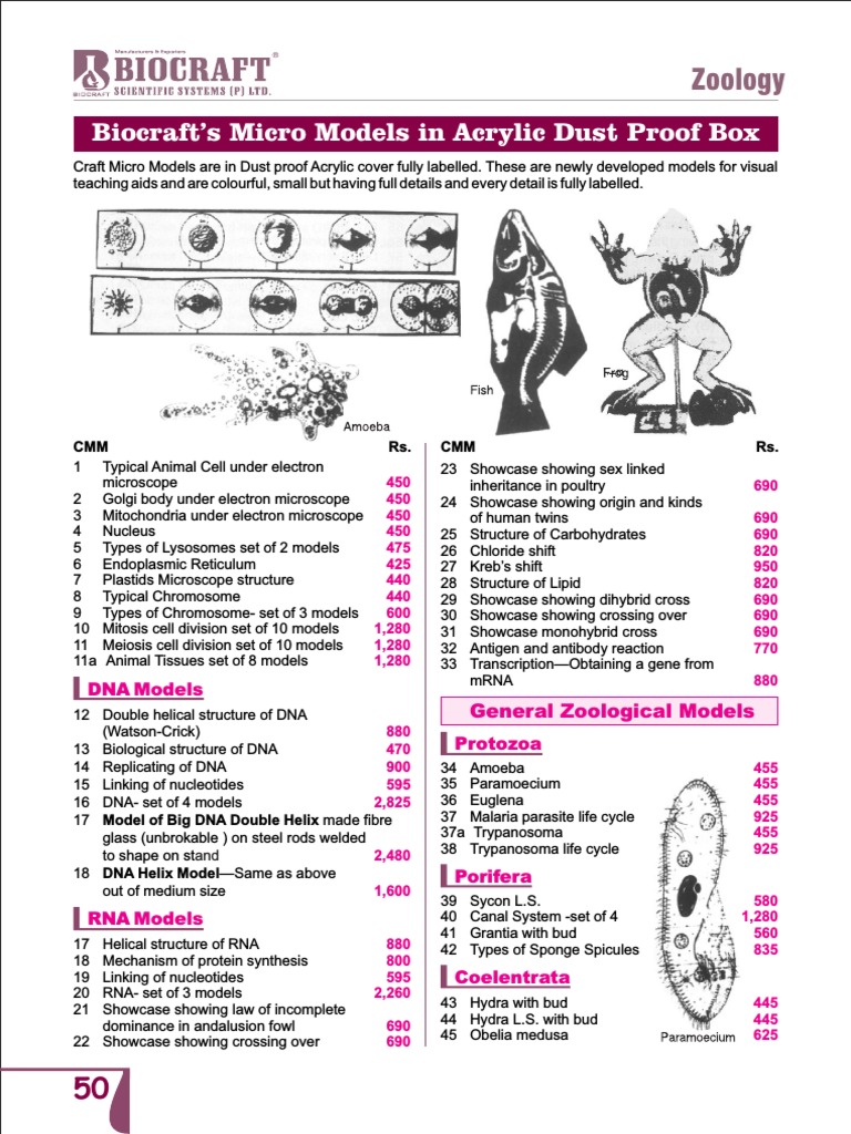 Catalog Biocraft Micro Model | PDF | Dna | Cell (Biology)