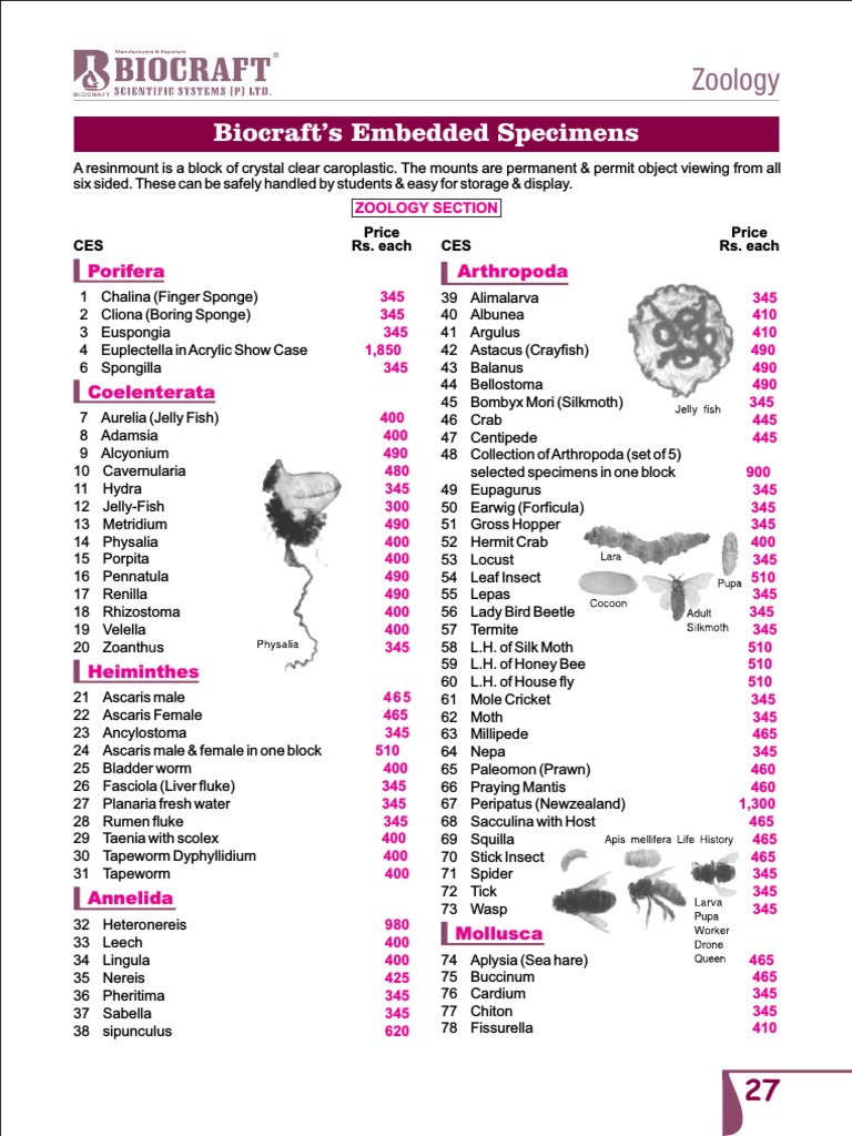 Catalouge Biocraft Bioplastic Specimen | PDF | Rock (Geology)