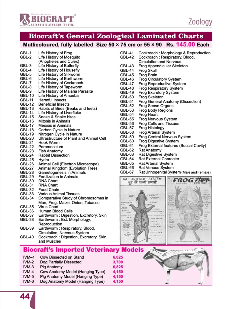 Biocraft Zoological Charts Overview | PDF | Anatomy | Human Body