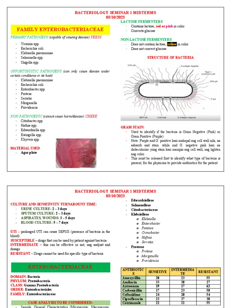 Family Enterobacteriaceae | PDF | Escherichia Coli | Clinical Medicine
