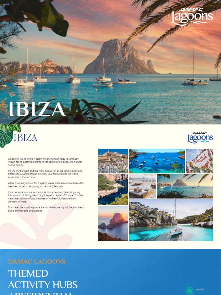 IBIZA - Project Presentation | PDF