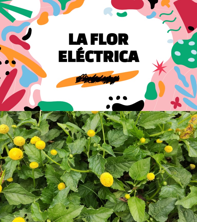 Proyecto Flor Eléctrica | PDF