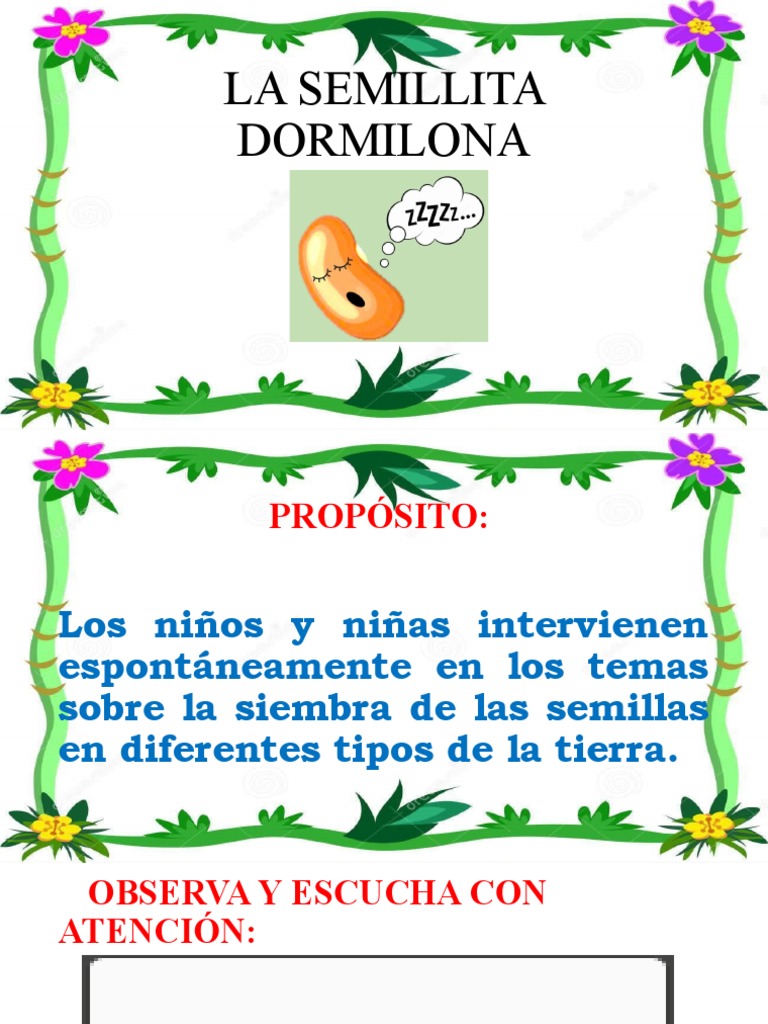 Cuento La Semillita Dormilona | PDF | Artes del Lenguaje y Comunicación