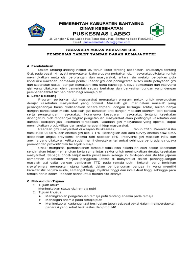 KAK Pemberian Tablet FE Remaja Putri | PDF