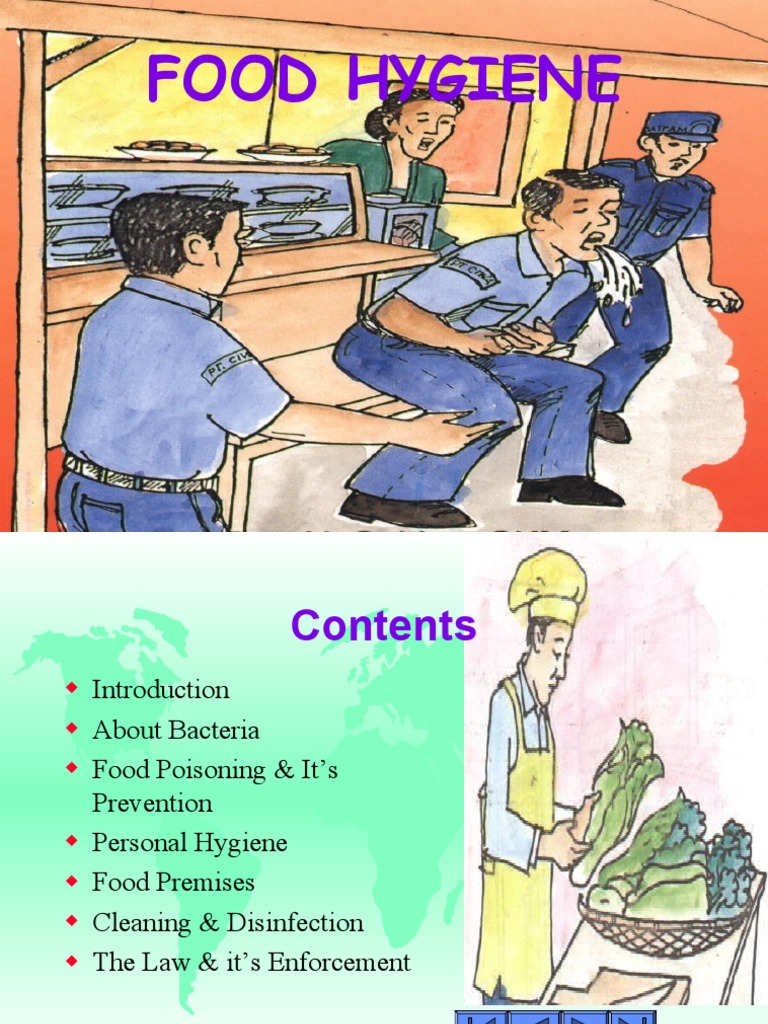 Food Hygiene and Haccp | PDF | Foodborne Illness | Food Safety