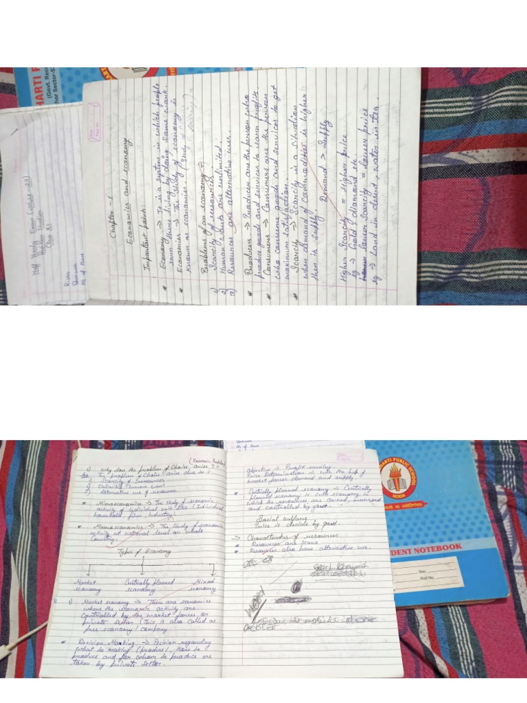 Class 11 Economics Micro Notes PDF | PDF