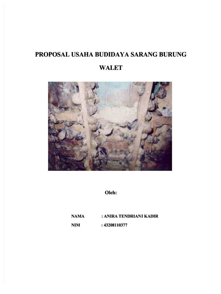 Budidaya Sarang Walet Menguntungkan | PDF