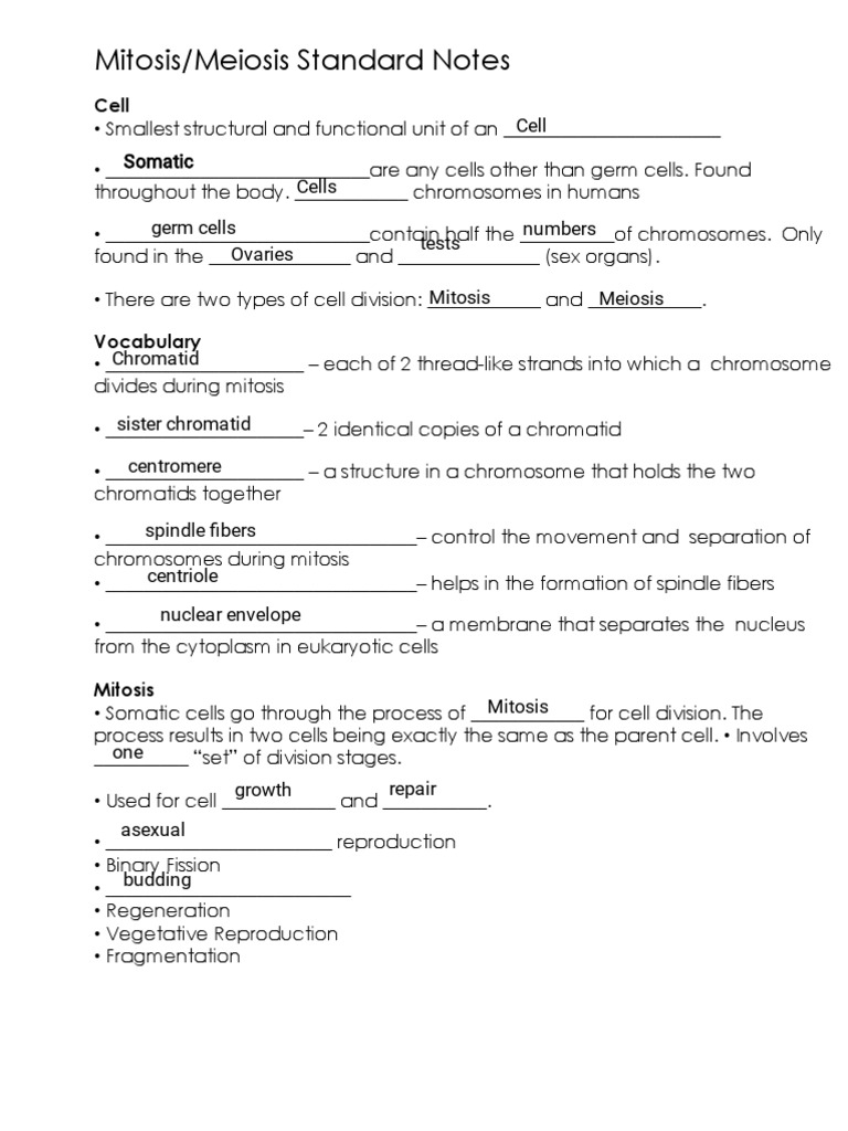 Kami Export - Bryson Mosley - Notes Mitosis and Meiosis | PDF | Meiosis ...