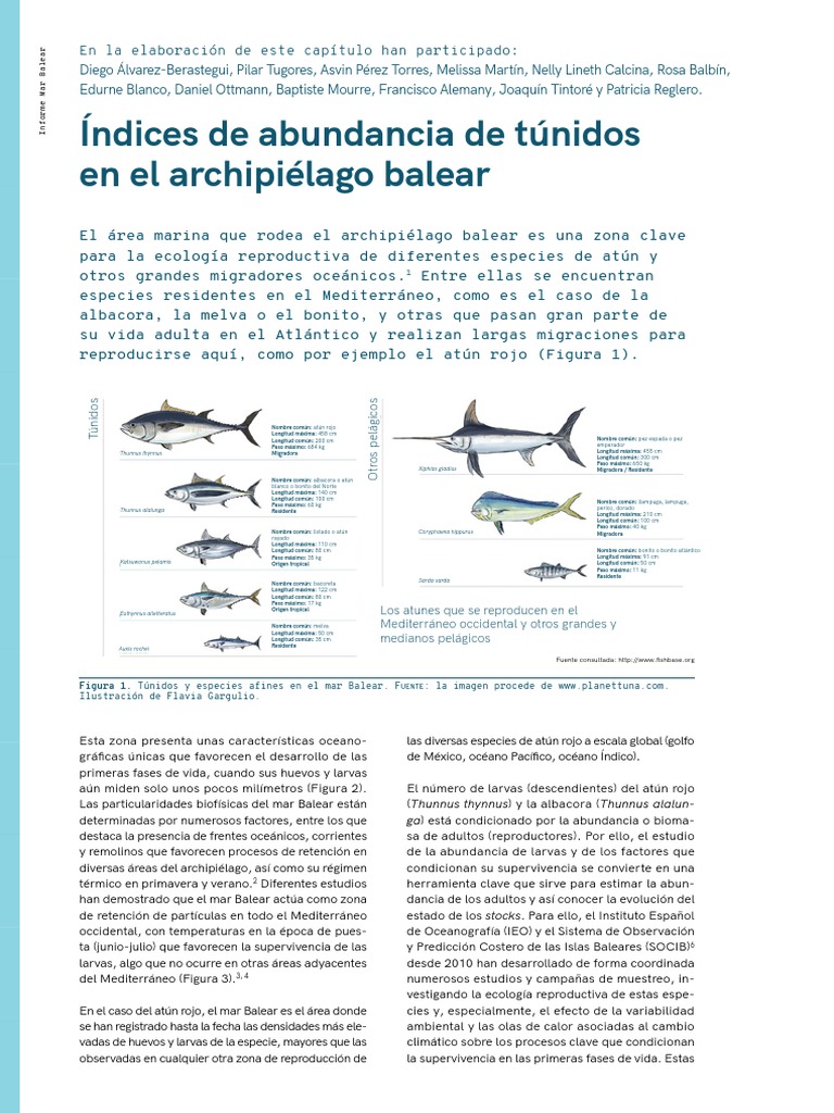 Índices de Abundancia de Túnidos en El Archipiélago Balear | PDF ...