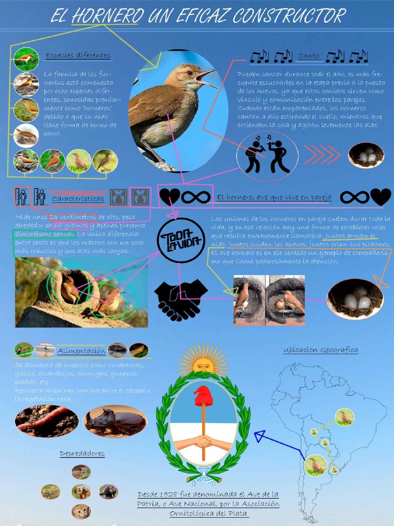 ITC-TP. 1 Imvestigacion - El Hornero. | PDF | Diseño | Entorno natural