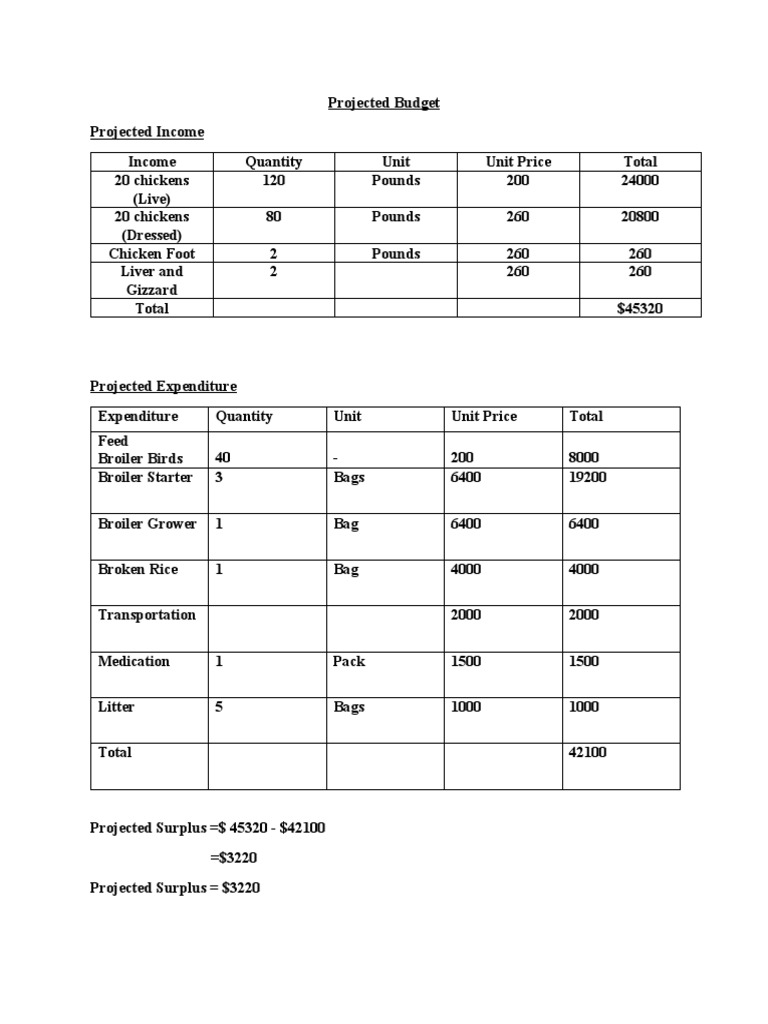 Broiler Production Budget | PDF | Broiler | Poultry