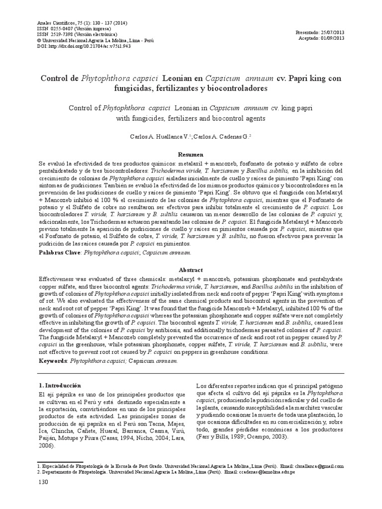 Phytophthora Capsici Leonian en Capsicum Annuum Cv. Papri King Con | PDF