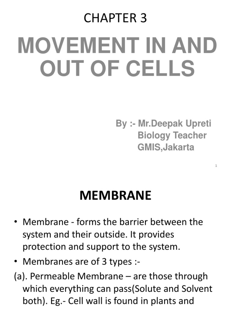 Chapter 3 Movement in and Out of Cell | PDF | Osmosis | Diffusion